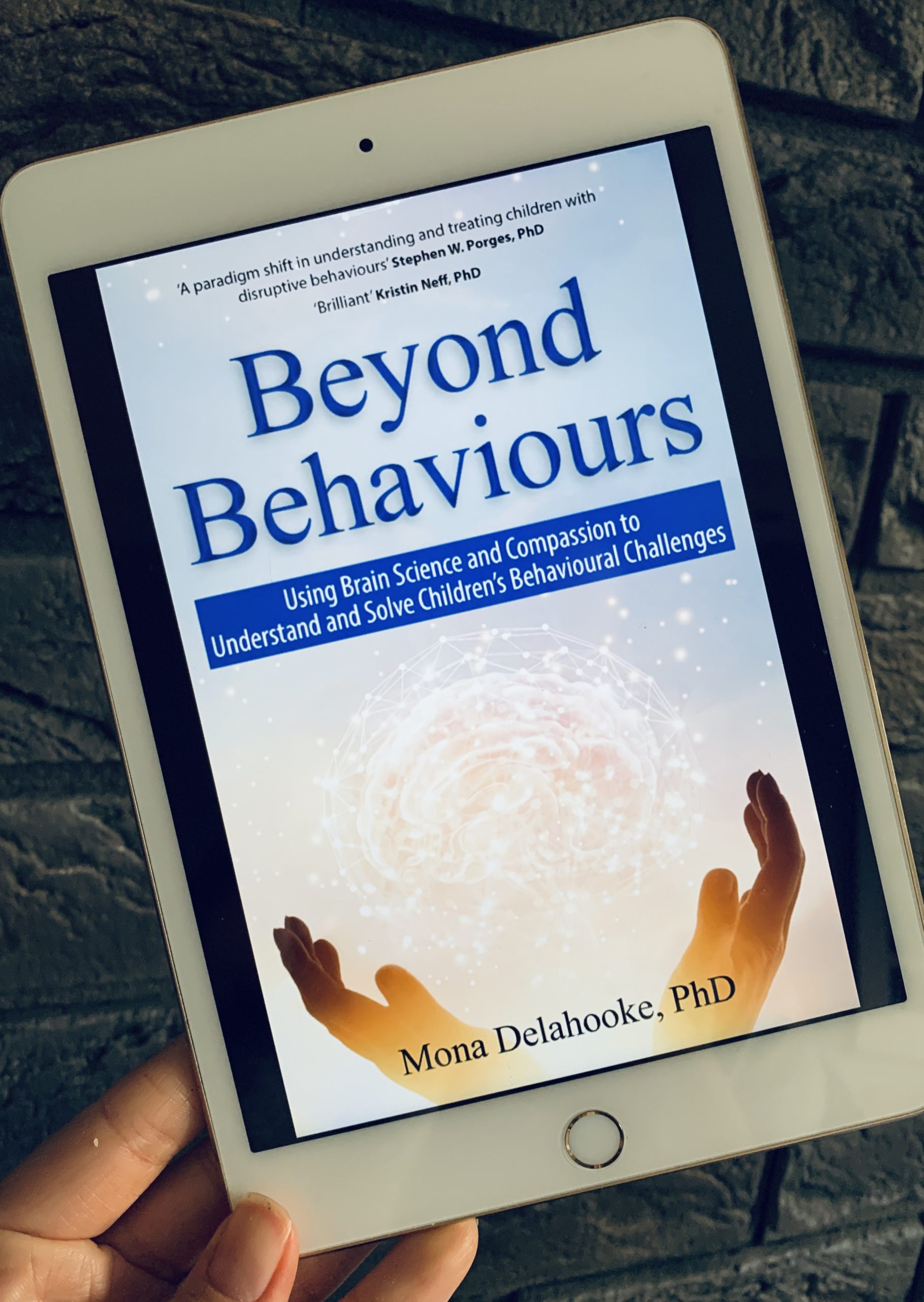 Beyond Behaviours. Mona Delahooke . Book Summary